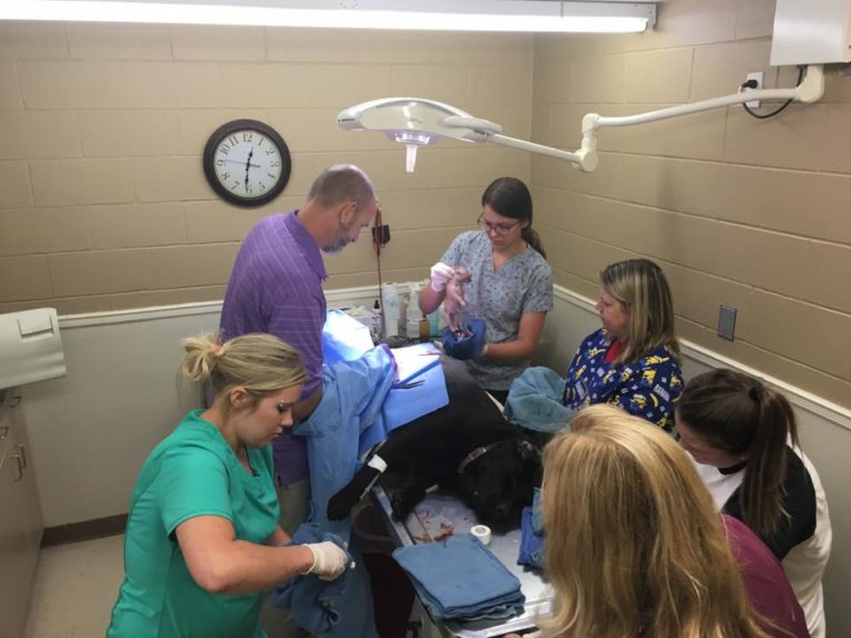 About Us | Independence Animal Hospital