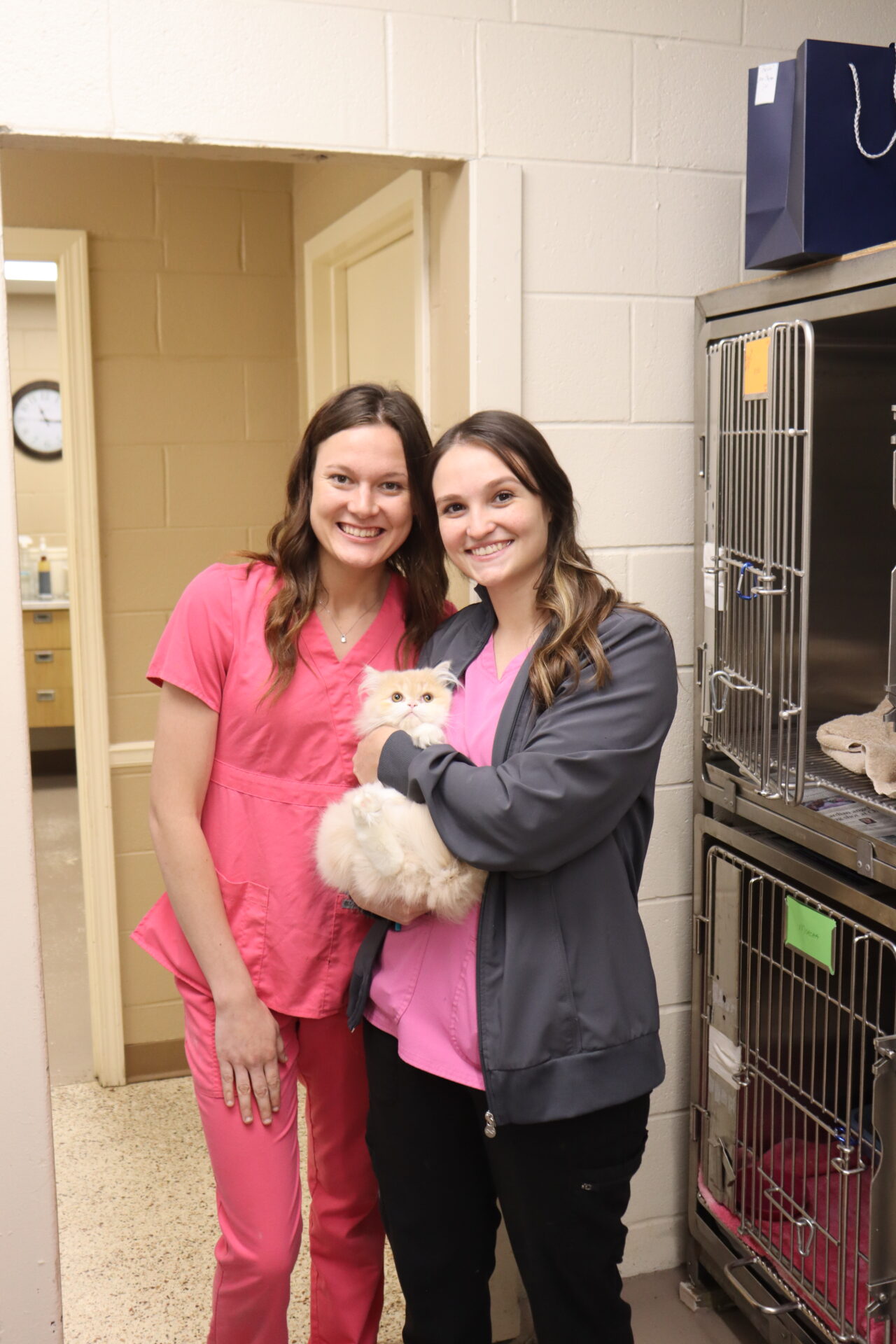 About Us | Independence Animal Hospital