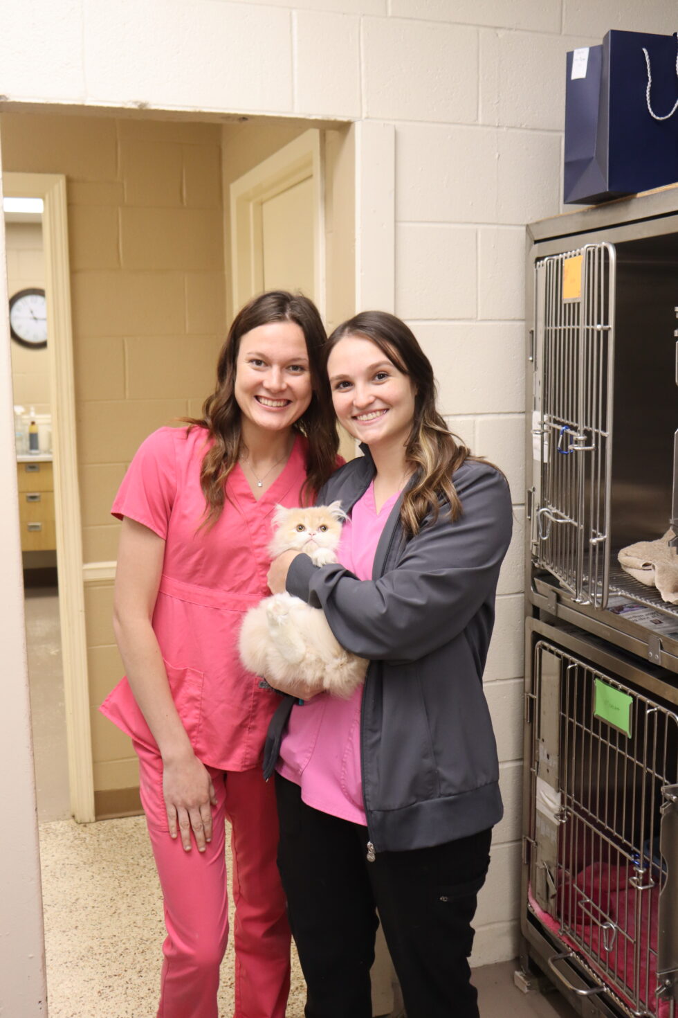 About Us | Independence Animal Hospital